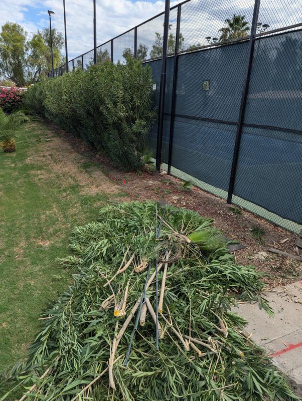 DEWALT XR POWER DETECT 20-volt Max Variable Brushless Cordless ...