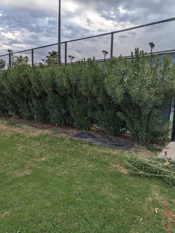 DEWALT XR POWER DETECT 20-volt Max Variable Brushless Cordless ...