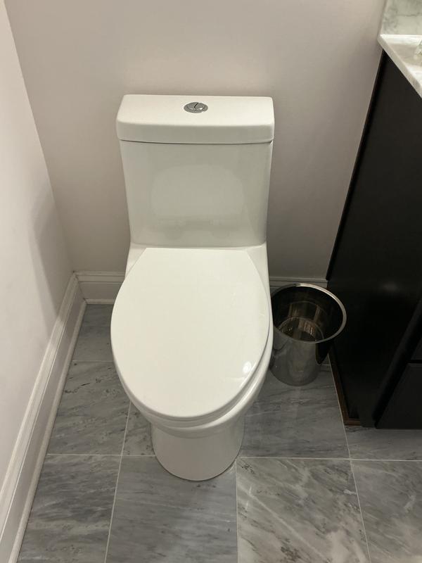 DeerValley Ally White Elongated Chair height 12-in Rough-In 1.6 GPF ...