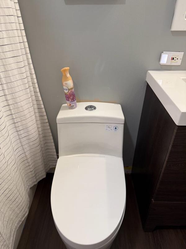 DeerValley Prism White Elongated Chair height 12-in Rough-In 1.6 GPF ...