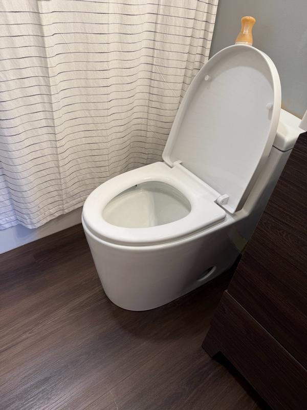 DeerValley Prism Black Elongated Chair height 12-in Rough-In WaterSense ...