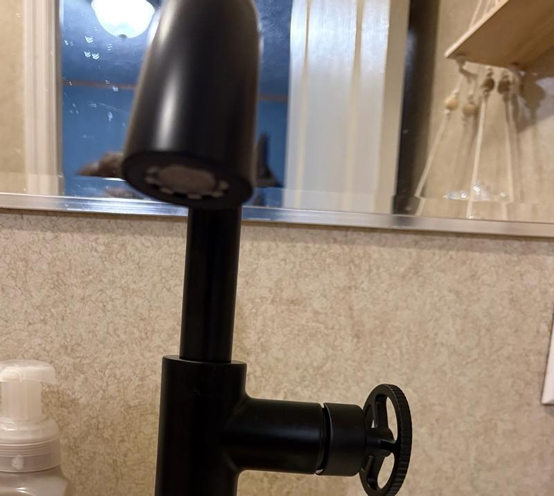 Delta Trinsic Venetian Bronze Single Hole 1-Handle WaterSense Pull-down ...