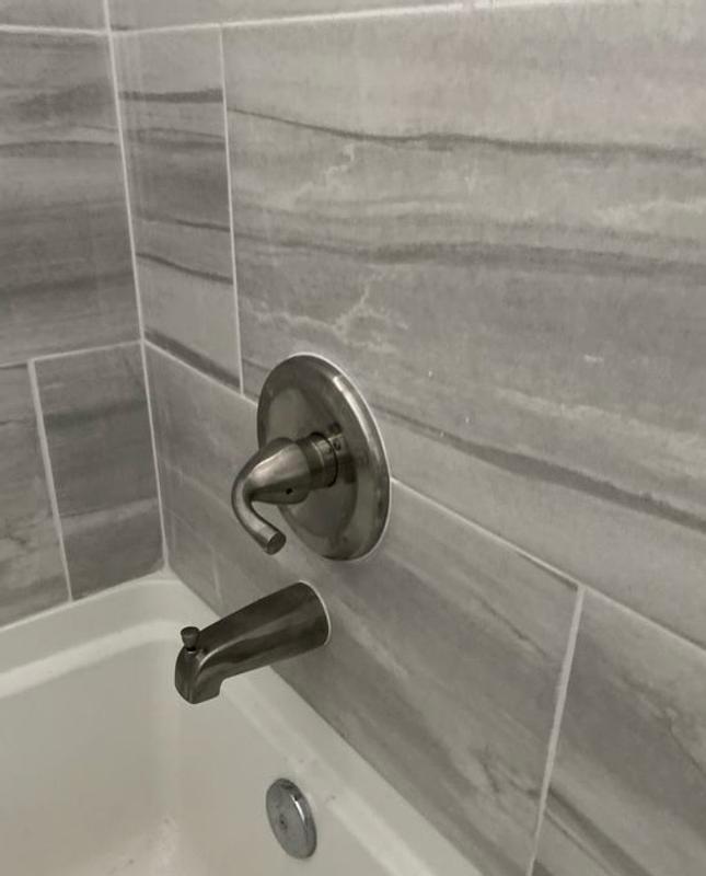 Delta Foundations Chrome 1-handle Single Function Round Bathtub and ...
