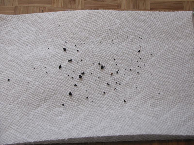 Delta Collins Chrome Single Handle Kitchen Faucet 141-DST at Lowes.com