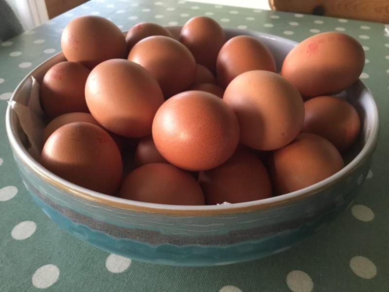 Denby Dinnerware, Azure Coastal Serving Bowl - Macy's