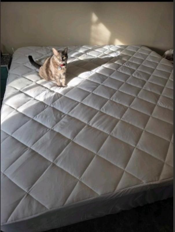 Sharper Image Cooling Touch Overfilled Extra Deep Pocket Mattress Pads ...
