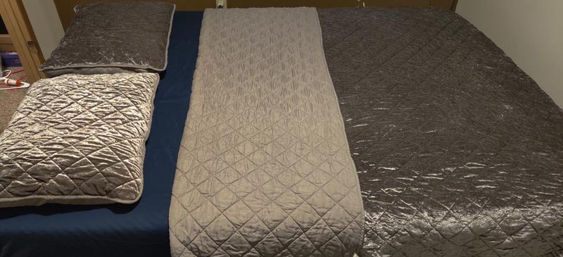 Intelligent Design CLOSEOUT! Felicia Velvet Quilted 3-Piece Quilt Set ...