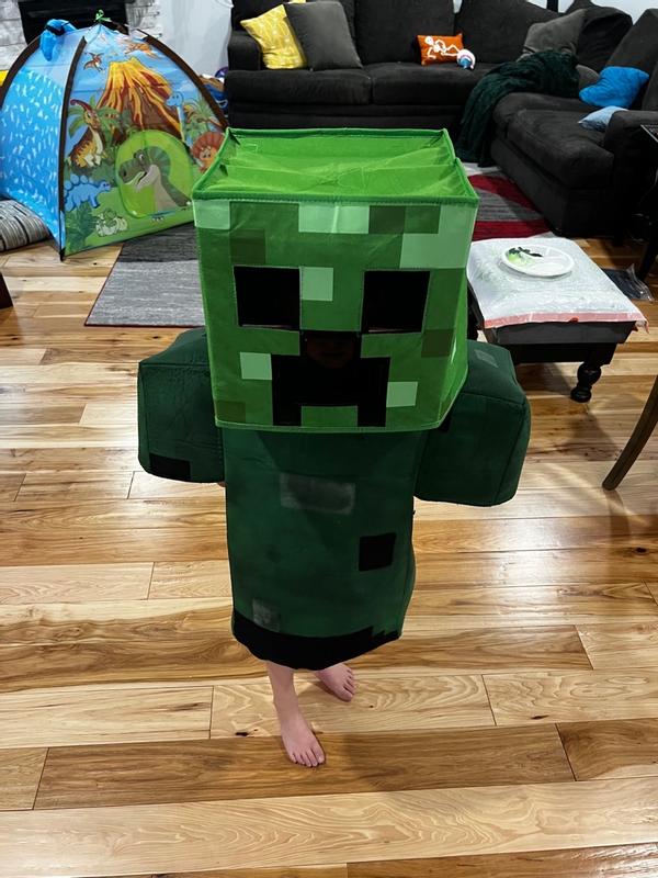 Disguise Minecraft™ Anniversary Creeper Block Head Mask at Lowes.com