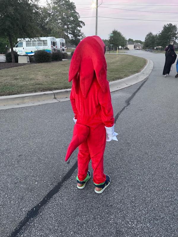 Disguise Boys' Sonic The Hedgehog 3 Knuckles Deluxe - Size 4-6 - Red at ...