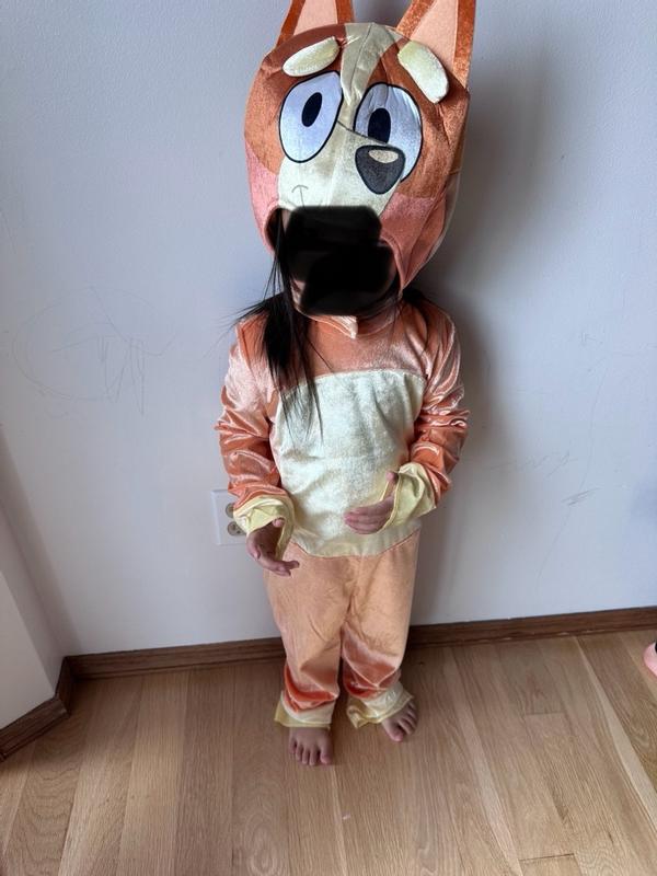 Disguise Toddler Classic Bluey Bingo Costume - Medium 3T-4T at Lowes.com