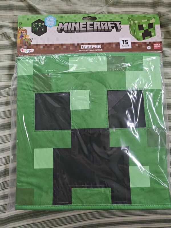 Disguise Minecraft™ Anniversary Creeper Block Head Mask at Lowes.com