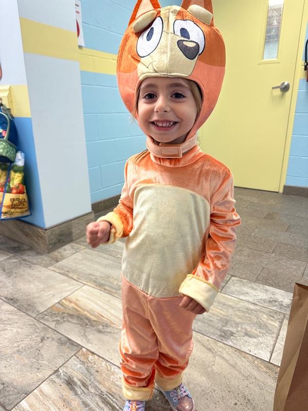 Disguise Toddler Classic Bluey Bingo Costume - Medium 3T-4T at Lowes.com