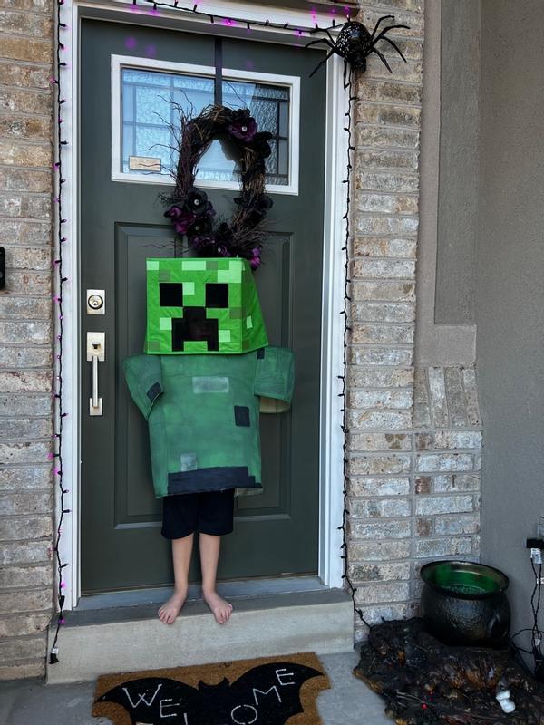 Disguise Minecraft™ Anniversary Creeper Block Head Mask at Lowes.com