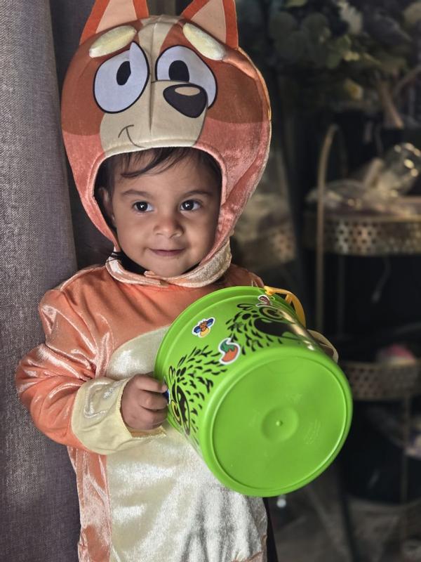 Disguise Toddler Classic Bluey Bingo Costume - Medium 3T-4T at Lowes.com