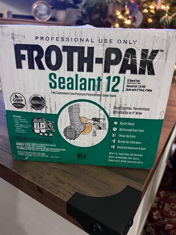 Froth-Pak Low GWP 12 12-oz Spray gun Indoor/Outdoor Spray Foam ...