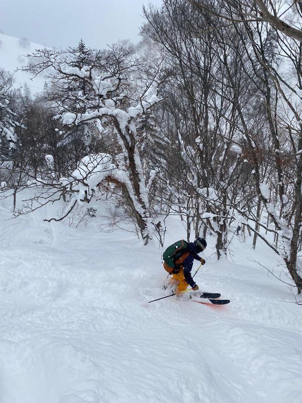 Dynastar M-Free 118 Ski - 2024 - Ski