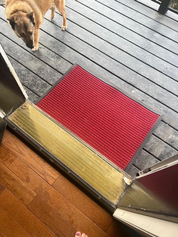 Envelor 2-ft x 3-ft Button- Maroon Polypropylene Rectangular Indoor or ...