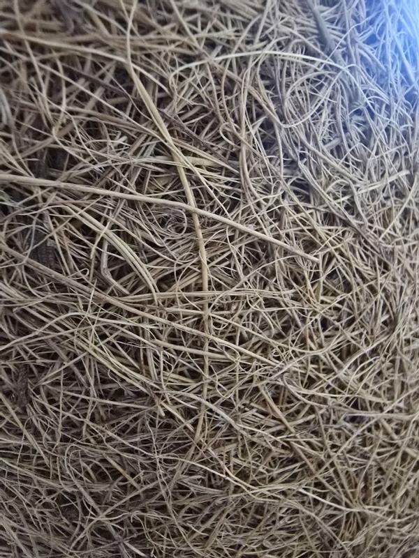 Envelor Natural Brown Coconut Fiber 36-in Tree Ring EN-CWCD-36-3-1 at ...