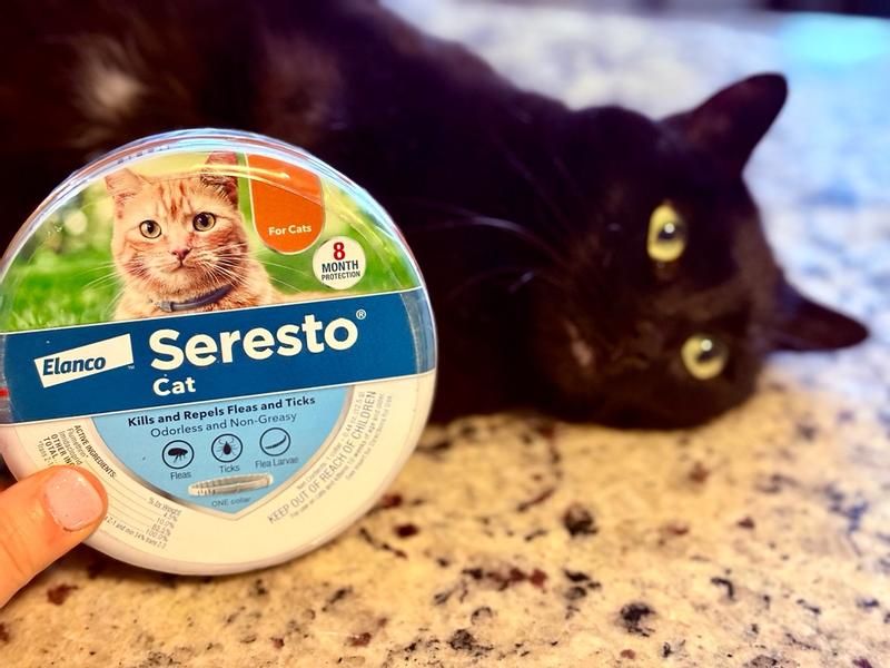 Elanco Seresto Vet-Recommended 8-Month Collar Flea and Tick Treatment ...