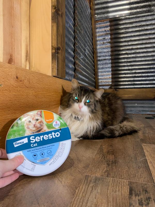 Elanco Seresto Vet-Recommended 8-Month Collar Flea and Tick Treatment ...