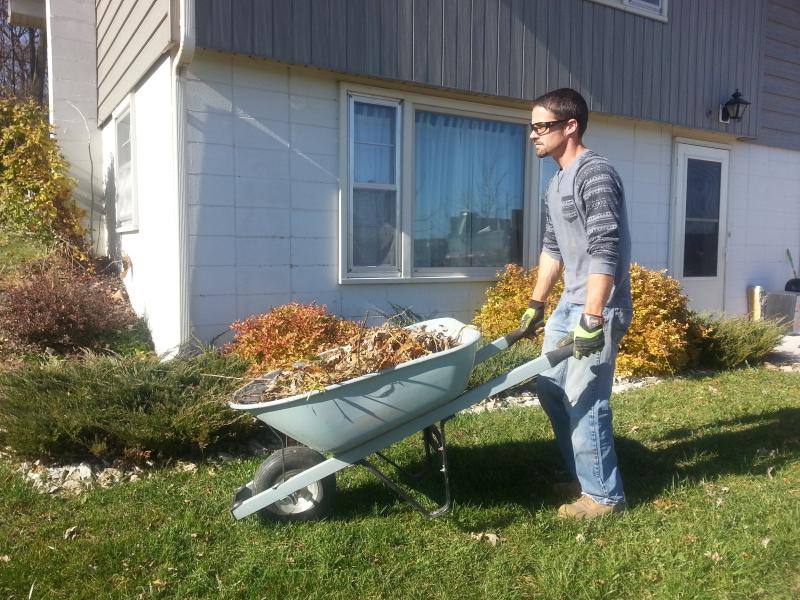 Ergodyne Medium Green Poly/Cotton 1 -Pairs in the Work Gloves ...