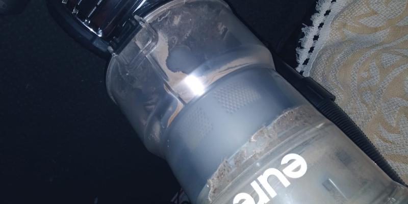 Eureka FloorRover Bagless Pet Upright Vacuum with HEPA Filter in the ...