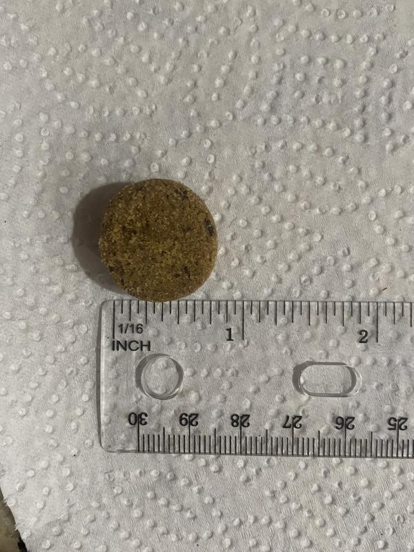 EverRoot By Purina Hip and Joint Dog Supplements, 10.6 oz. | Petco