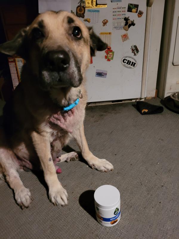 EverRoot By Purina Hip and Joint Dog Supplements, 10.6 oz. | Petco