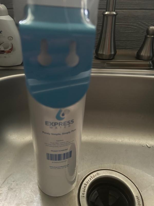 Express Water Streamline Single-stage Activated Carbon Under Sink Water ...