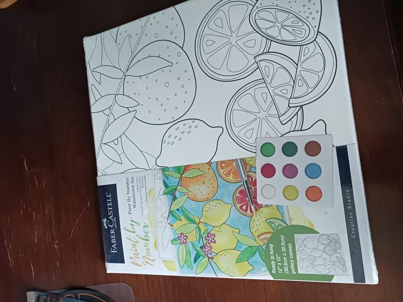 Faber-Castell Watercolor Paint By Number Produce at Lowes.com
