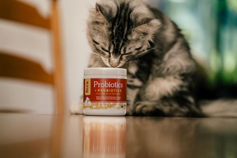 Fera Pet USDA Organic Probiotics for Dogs & Cats, 2.5 oz. | Petco