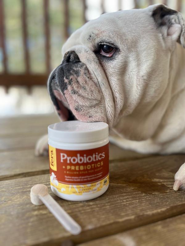 Fera Pet Organics USDA Organic Probiotics for Dogs & Cats, 2.5 oz. | Petco