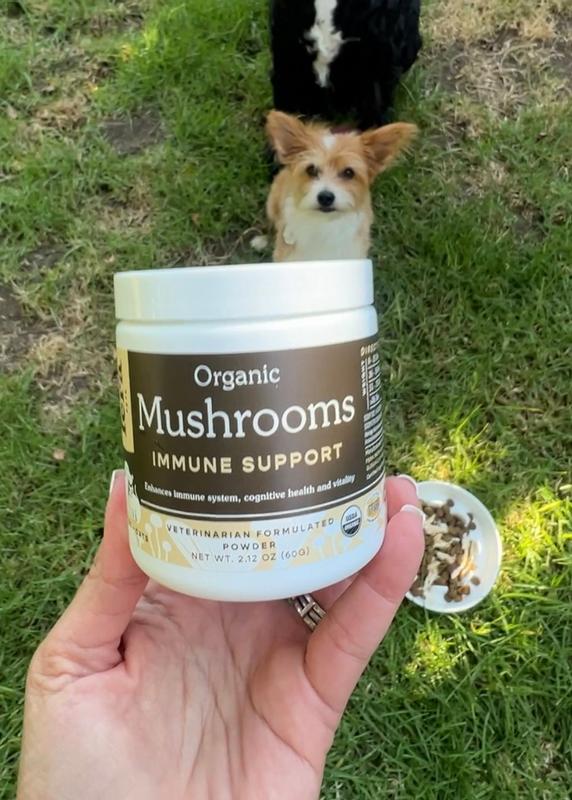 Fera Pet USDA Organic Mushrooms Immune Support for Dogs & Cats, 2.12 oz ...