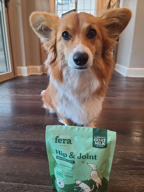 Fera Pet Hip & Joint Soft Chew with Organic Turmeric Dog Supplement, 11 ...