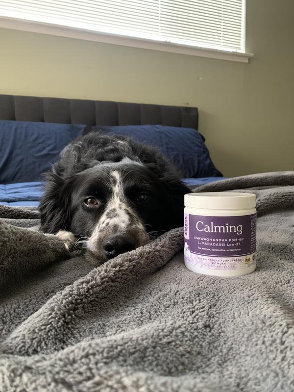 Fera Pet Calming Support for Dogs & Cats, 2.5 oz. | Petco