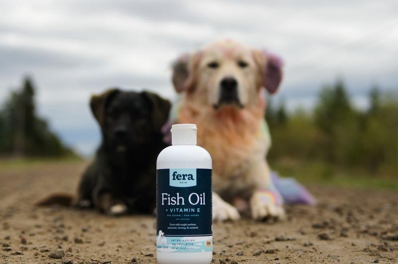 Fera Pet Fish Oil + Vitamin E Supplement for Dog & Cat, 16 oz. | Petco