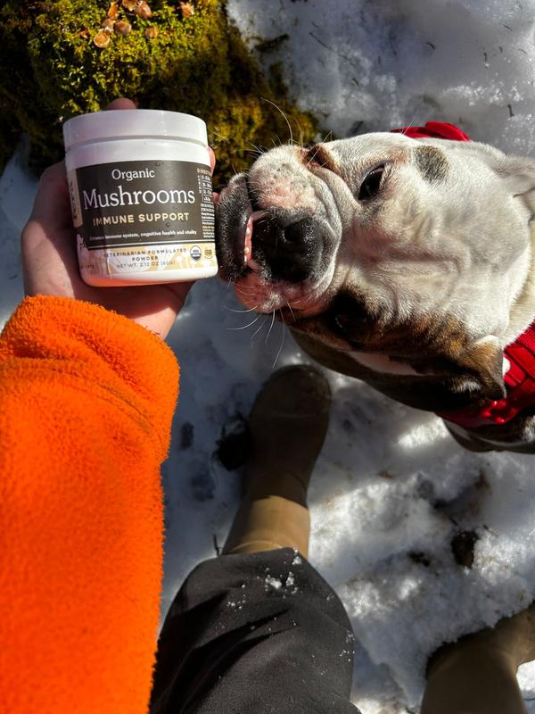 Fera Organic Mushroom Immune Support for Pets 2.12 oz