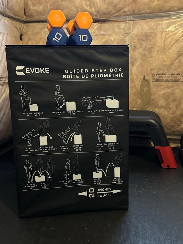 EVOKE Guided Step Box | SportChek
