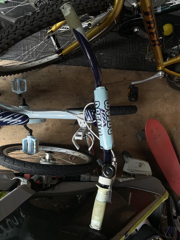 Nakamura Dream 16 Inch Junior Mountain Bike | SportChek