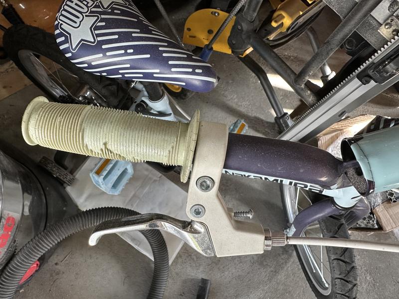 Nakamura Dream 16 Inch Junior Mountain Bike | SportChek