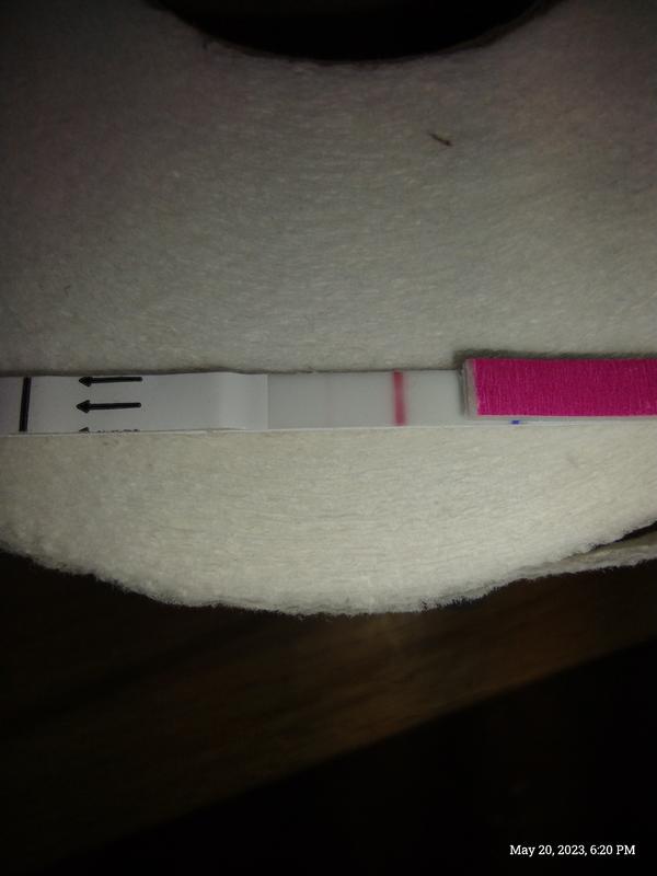 First Response Positive Pregnancy Test Faint Line