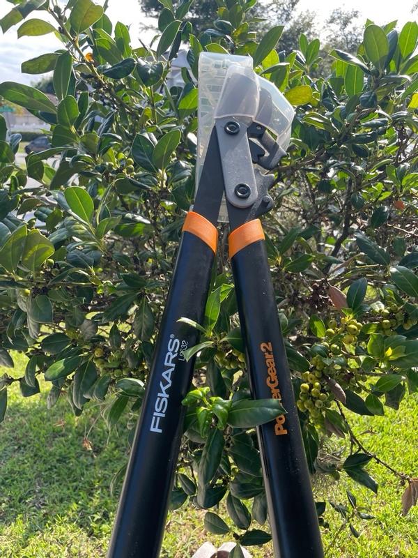 Fiskars 32 in. PowerGear2 Garden Lopper at Tractor Supply Co