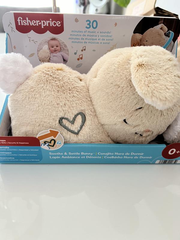 Fisher-Price Soothe Settle Bunny Plush Baby Toy Customizable Sound ...