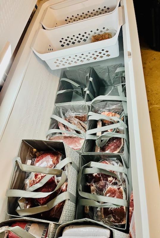 Frigidaire 24.8-cu ft Garage Ready Manual Defrost Chest Freezer with ...