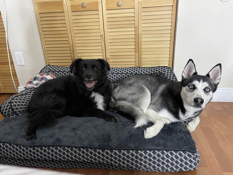 FurHaven Rectangular Diamond gray Polyester Pillow Dog Bed ( Large ) at ...