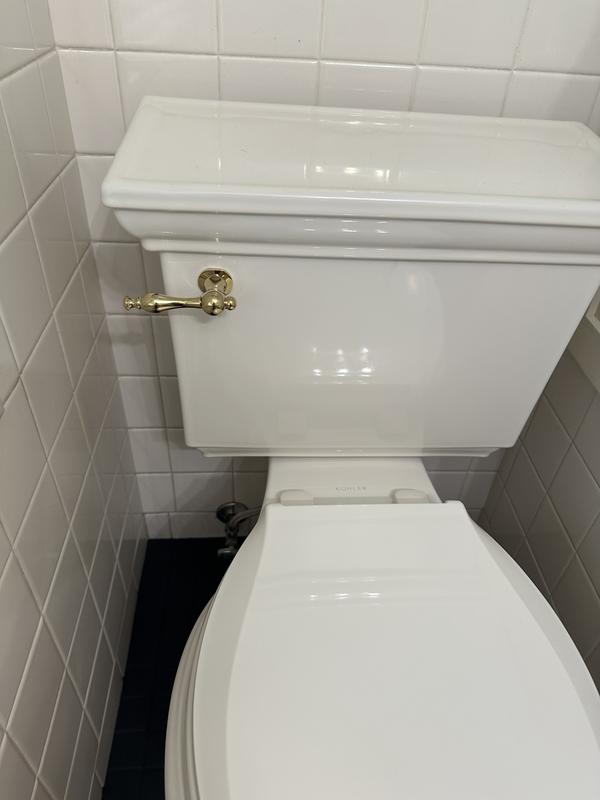 KOHLER Memoirs Stately Continuousclean St Two-Piece Elongated Toilet ...