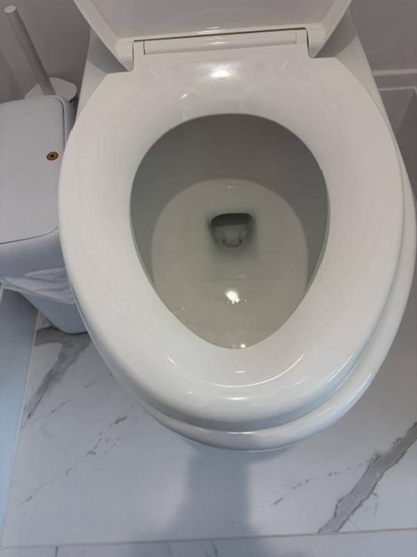 KOHLER Reach Dune Elongated Standard height 12-in Rough-In WaterSense 1 ...