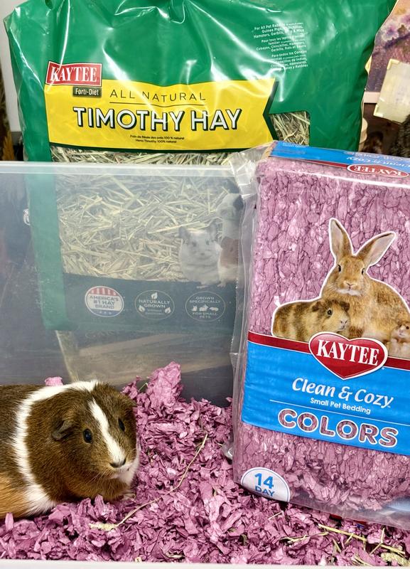 Kaytee Clean & Cozy Colors Bedding Kaleidoscope, 24.6 Liters | Petco