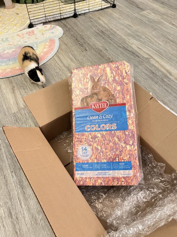 Kaytee Clean & Cozy Colors Bedding Kaleidoscope, 24.6 Liters | Petco