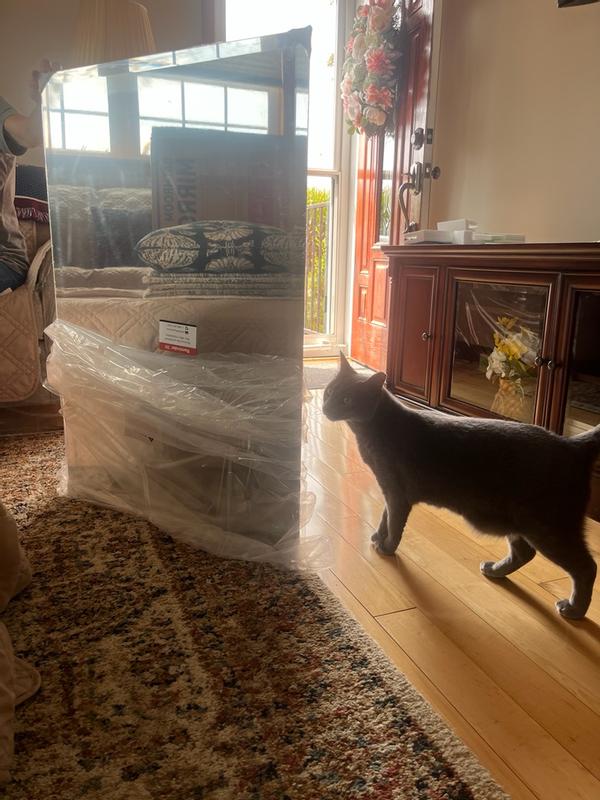 Keonjinn Beveled Frameless Bathroom Mirrors 55-in W x 36-in H Rectangle ...